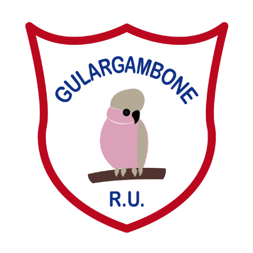 Western Plains Men's First Grade 2024 2024 Round 7: Warren Pumas 1st XV ...