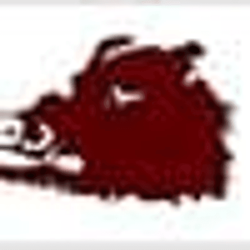 CWRU 2024 Junior Under 16 Competition Peter Veenstra Cup 2024 Finals ...